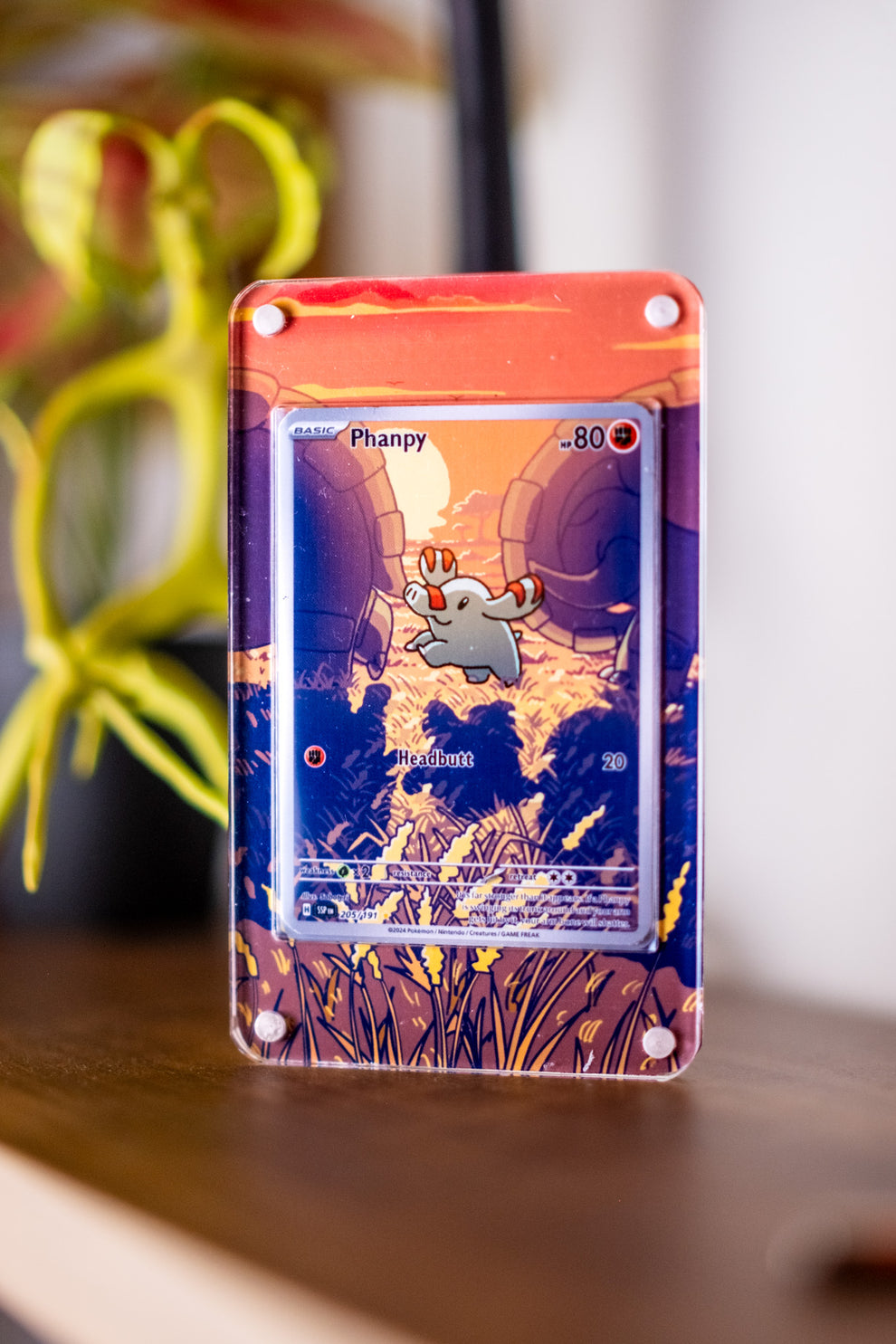 Phanpy AR #205 | Extended Art Display Case for Pokémon Card – GeeksStop