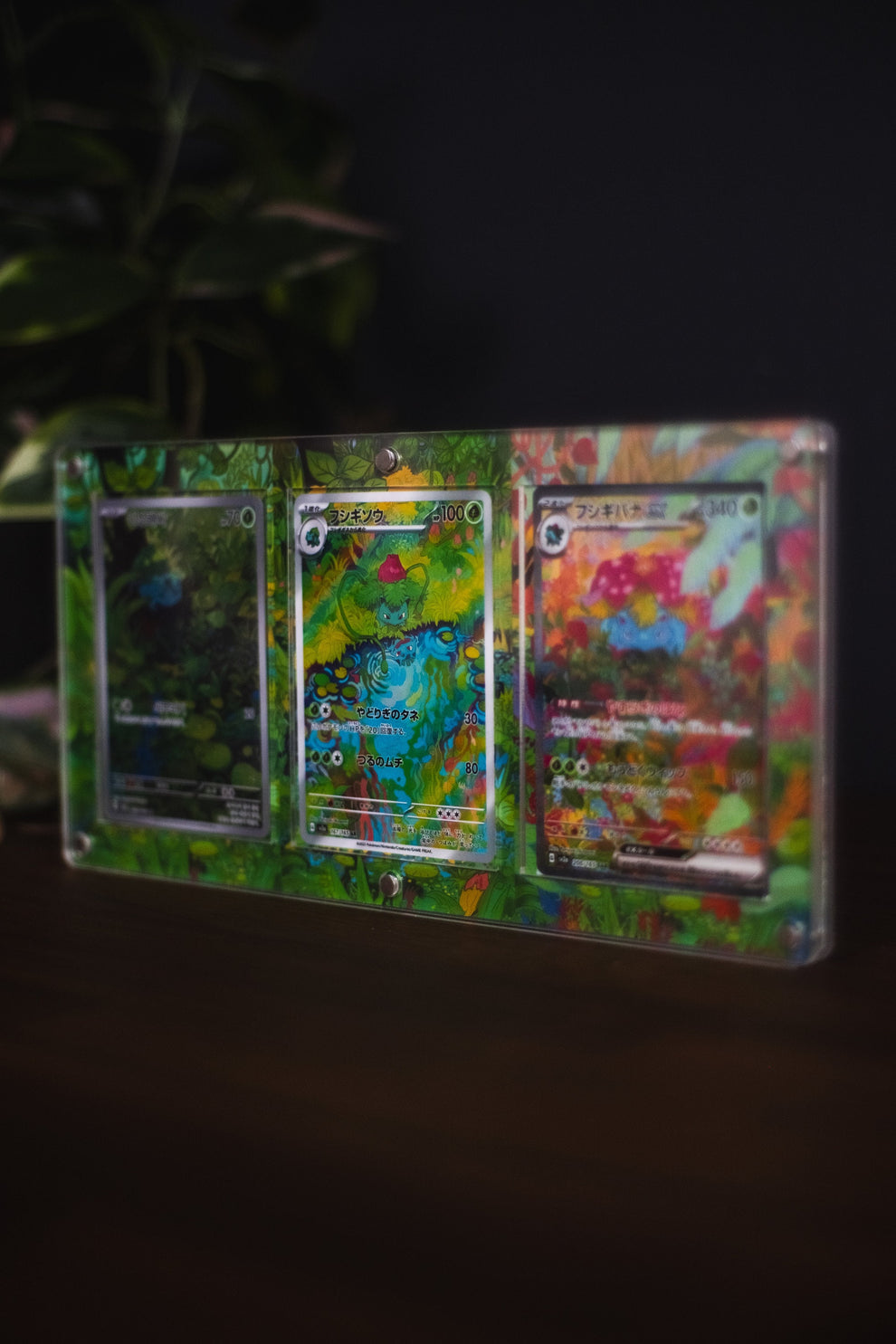 Bulbasaur Ivysaur Venusaur ex Art Rare Alt Custom Display Case for Pok ...